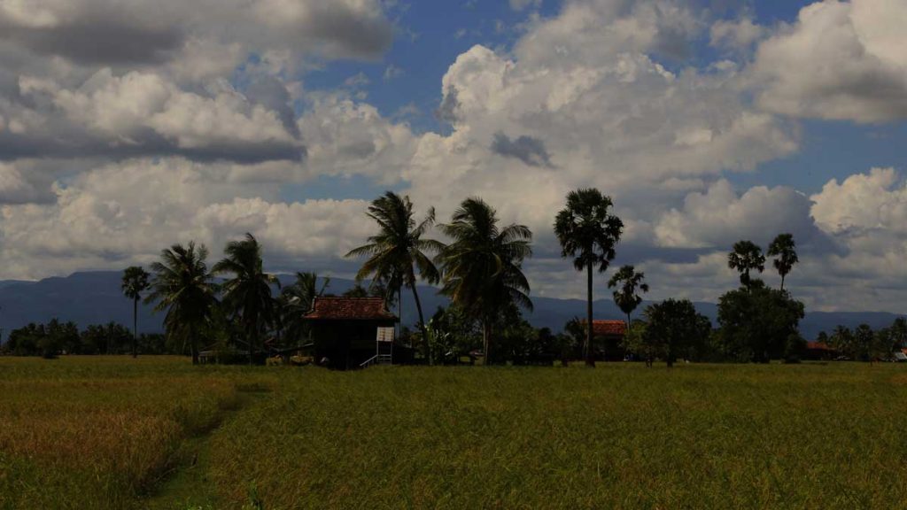 Bo Tree Organic Farm & Pepper Plantation | Hello Angkor