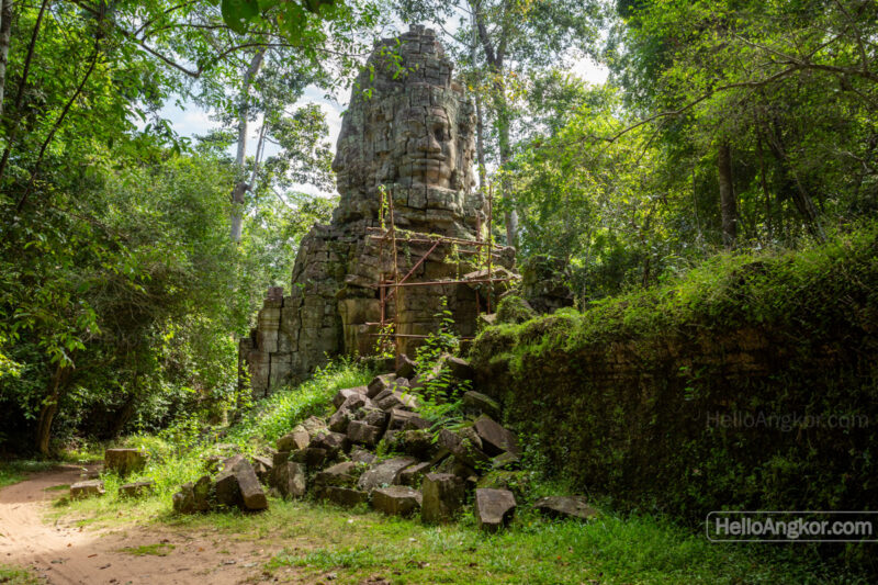 Ta Prohm Temple – Layout, History, Visiting Guide and More | Hello Angkor