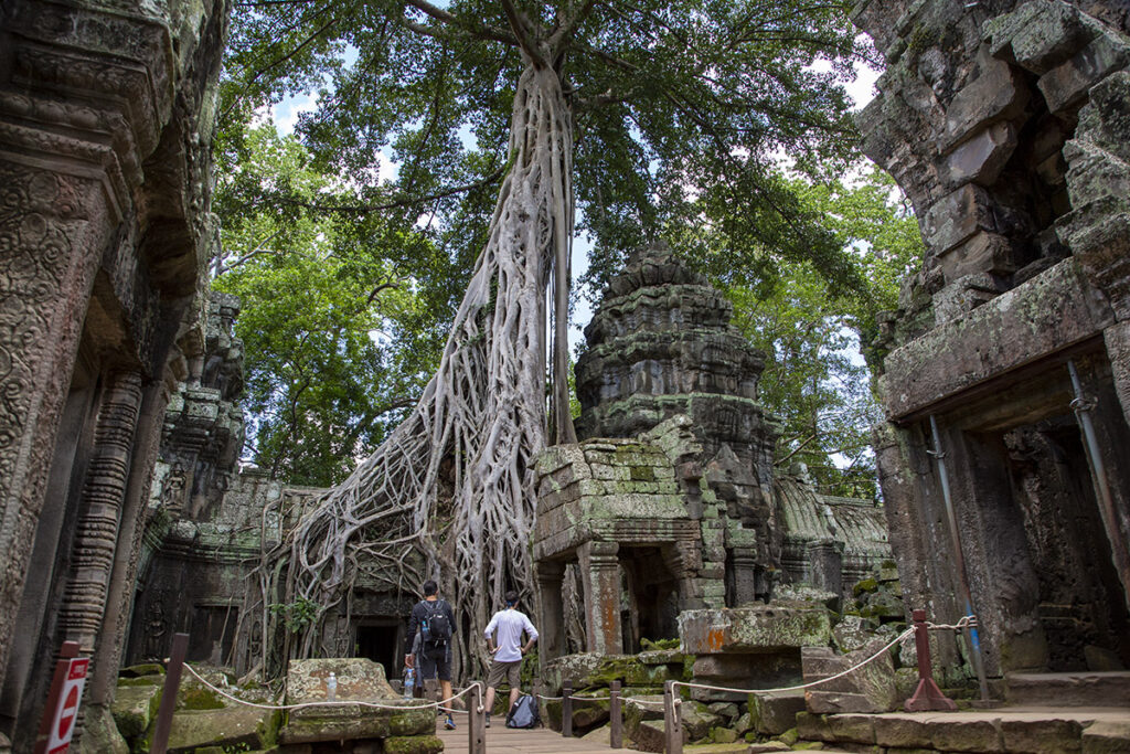 Ta Prohm Temple – Layout, History, Visiting Guide and More | Hello Angkor