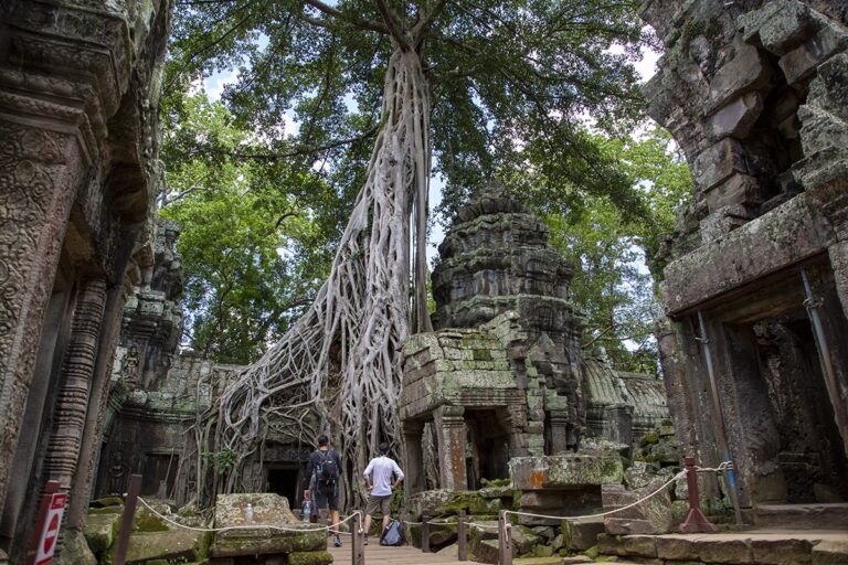 Ta Prohm Temple – Layout, History, Visiting Guide and More | Hello Angkor