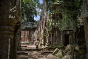 Ta Prohm Temple – Layout, History, Visiting Guide and More | Hello Angkor