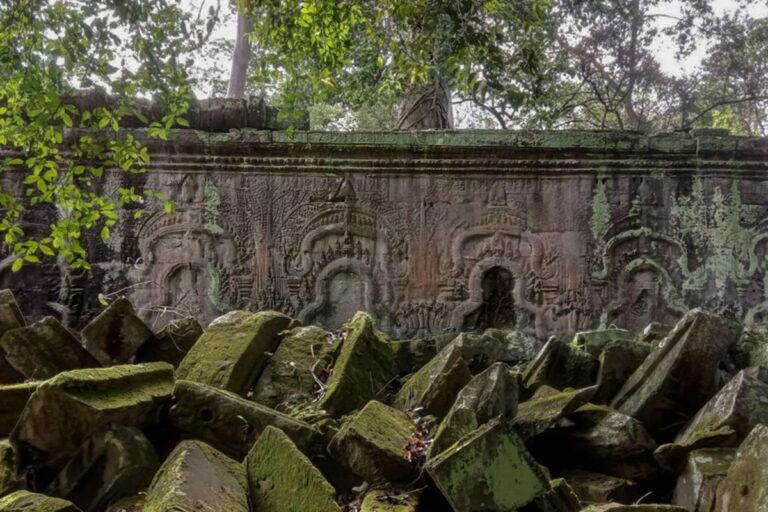 Ta Prohm Temple – Layout, History, Visiting Guide and More | Hello Angkor