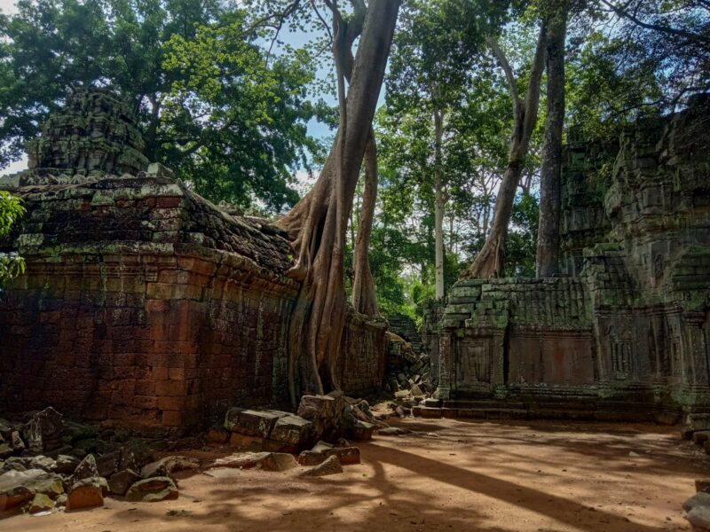 Ta Prohm Temple – Layout, History, Visiting Guide and More | Hello Angkor