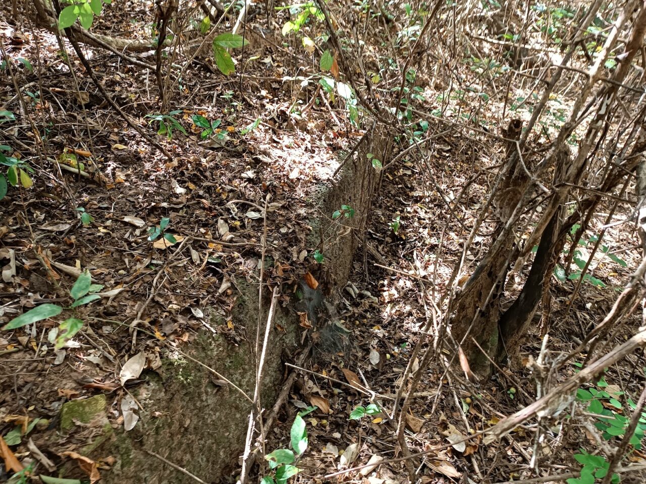 Wat Kokir Temple | Hello Angkor