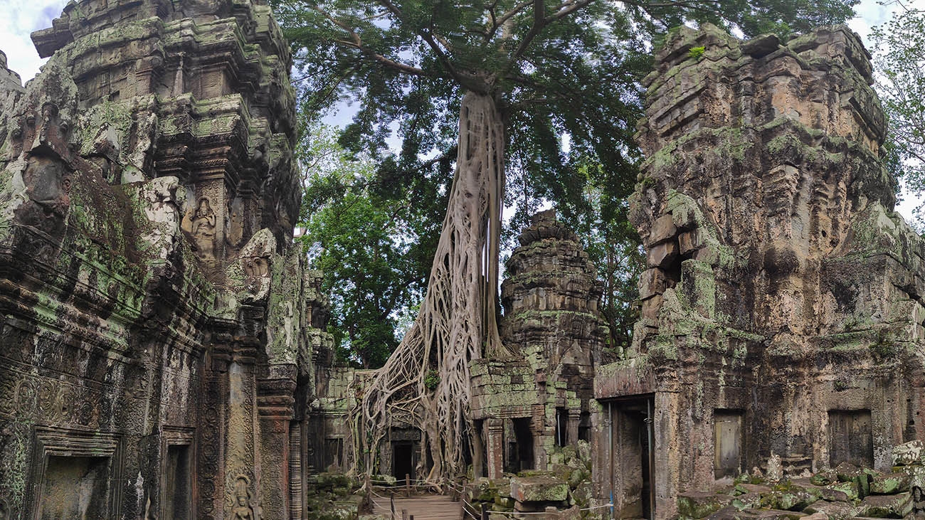 Ta Prohm Temple – Layout, History, Visiting Guide and More | Hello Angkor