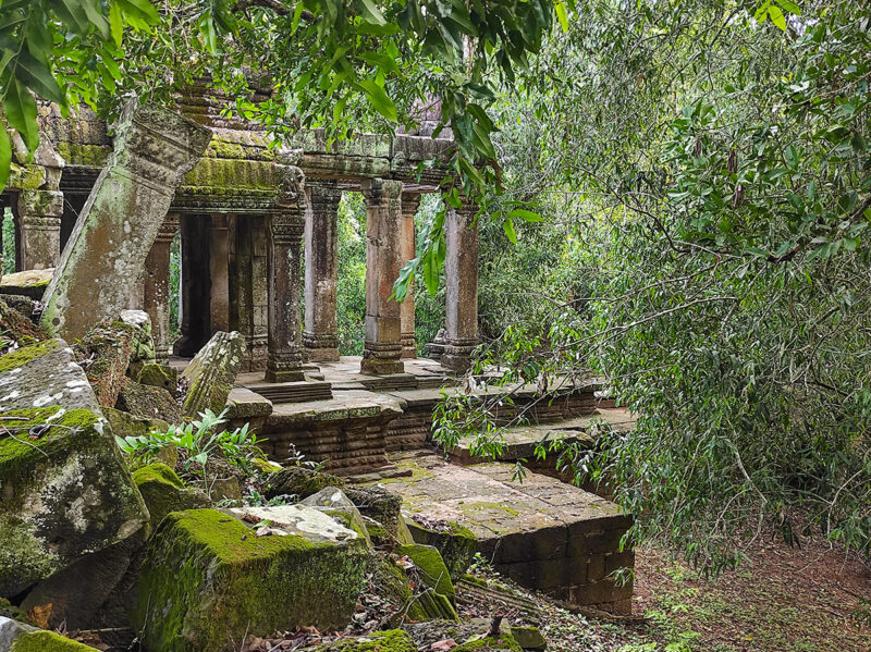 Ta Prohm Temple – Layout, History, Visiting Guide and More | Hello Angkor
