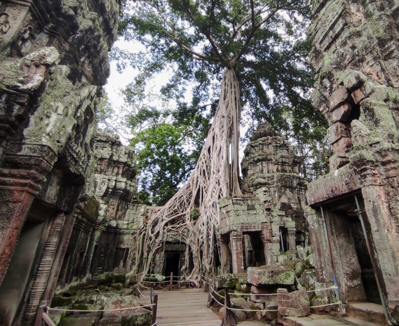 Ta Prohm Temple – Layout, History, Visiting Guide and More | Hello Angkor